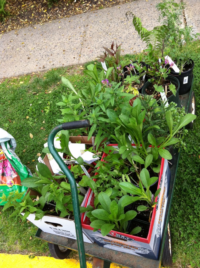 GARDEN DESIGN CLIENTS | Stately Kitsch